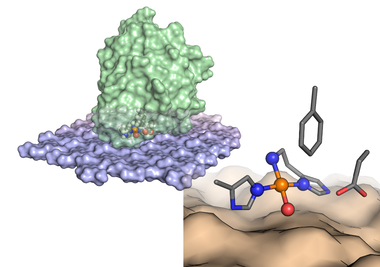 Metalloenzymes - LPMOs - Cube Synergy Project